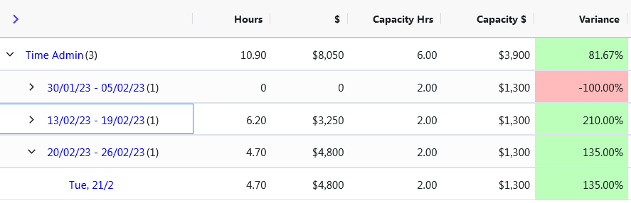 Time Review: Employee Capacity Page – Aryza Australia